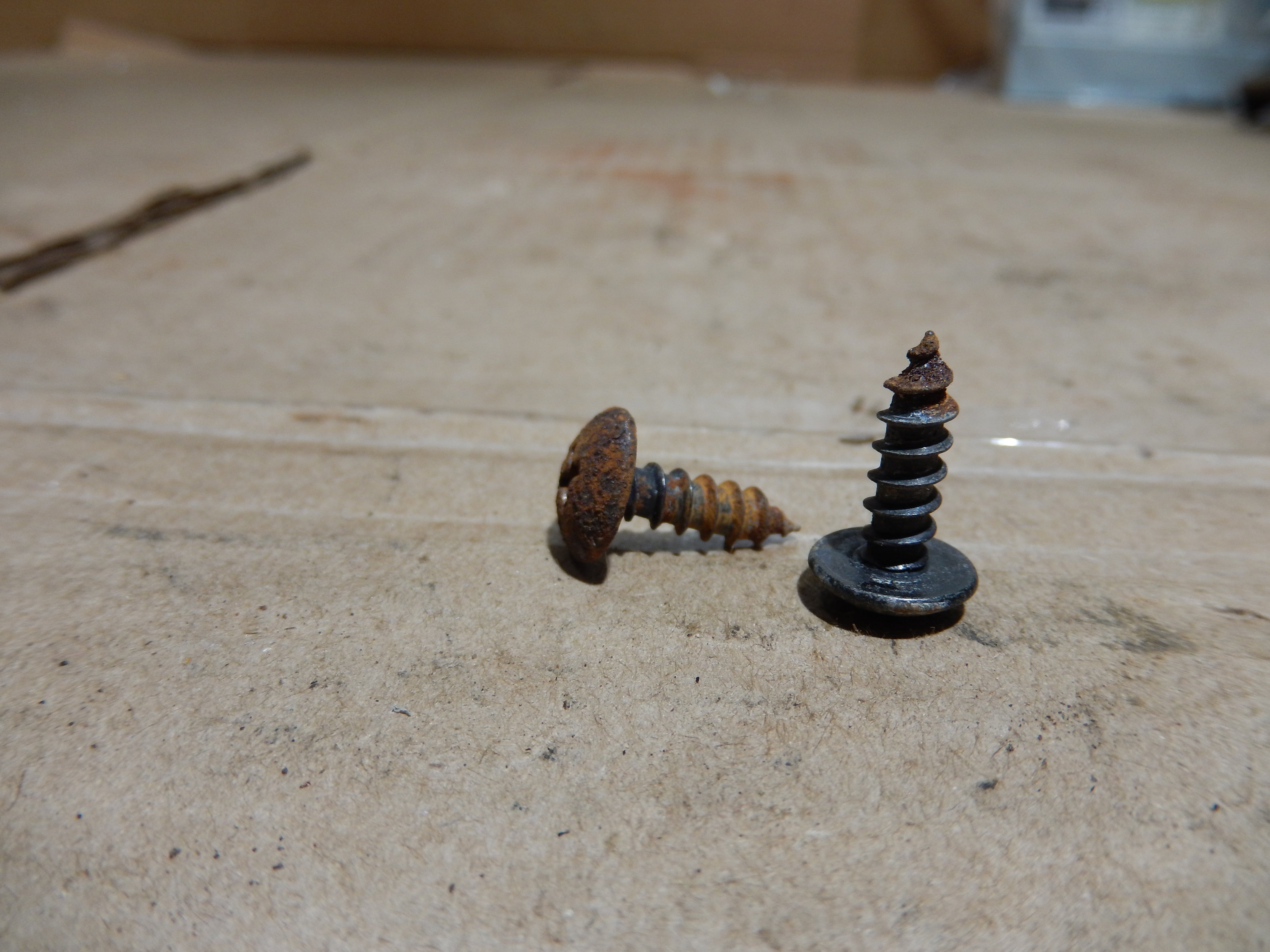 Datsun 240Z License Plate Screw – Joeyz Datsun